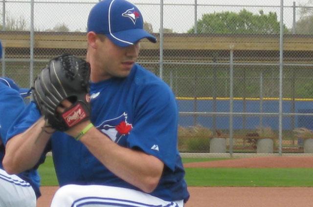 Daily Gallery: Blue Jays in Dunedin
