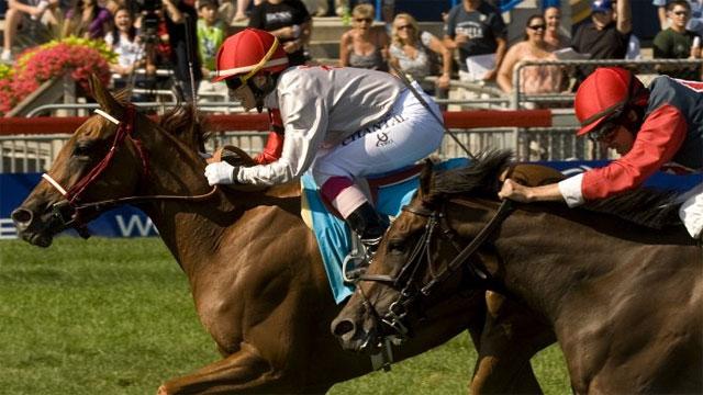 Chantal Sutherland hangs up her tack