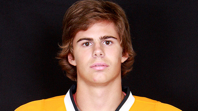 QMJHL: Tigres eliminate Wildcats from playoffs