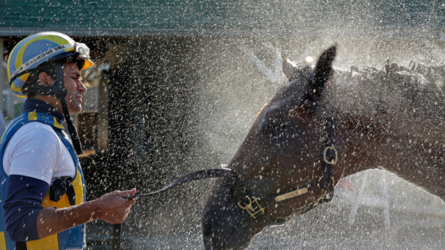 Vyjack and trainer under watch at Kentucky Derby