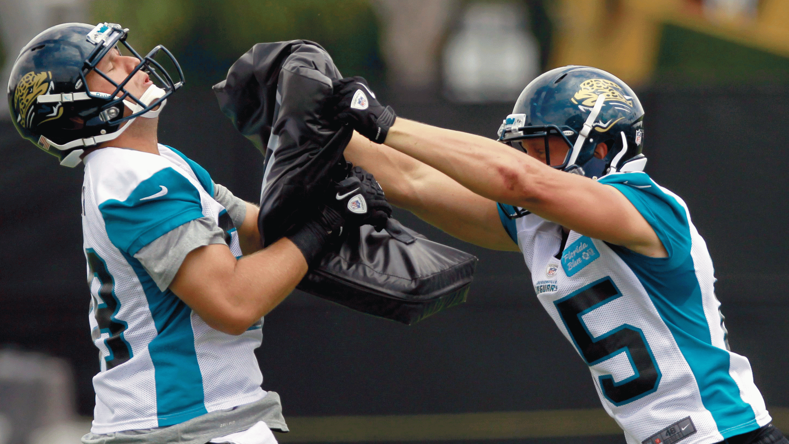 Lions sign former Jag Veldman, release Curry