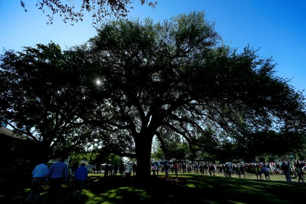 Augusta’s Eisenhower Tree removed after storm