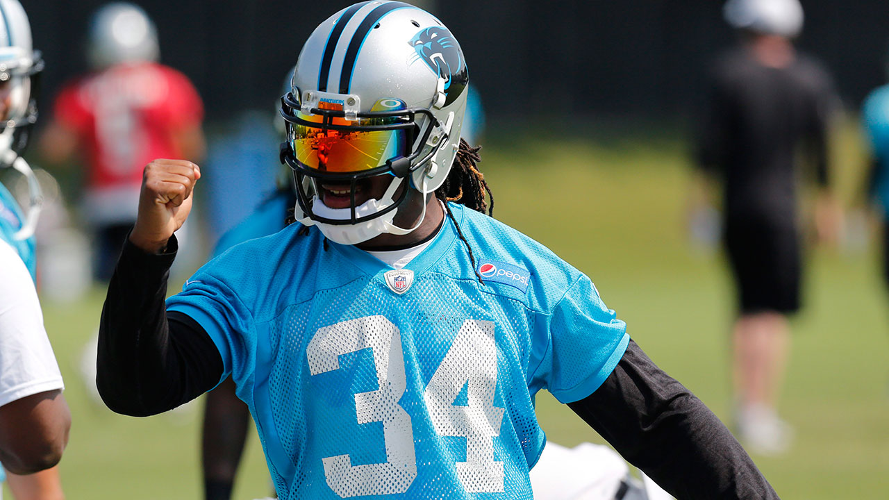 Panthers’ Rivera to use running back ‘committee’