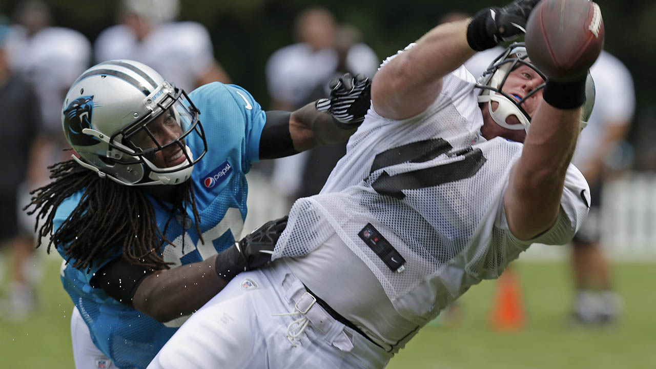 Falcons sign former Panthers safety Godfrey