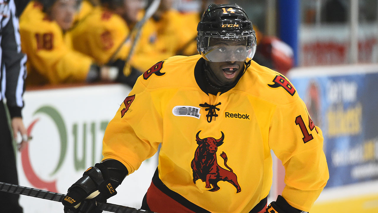 CHL on Sportsnet: OHL’s IceDogs, Bulls clash