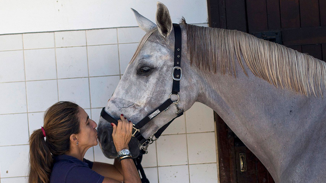 Olympic official: ‘no risk’ of glanders disease