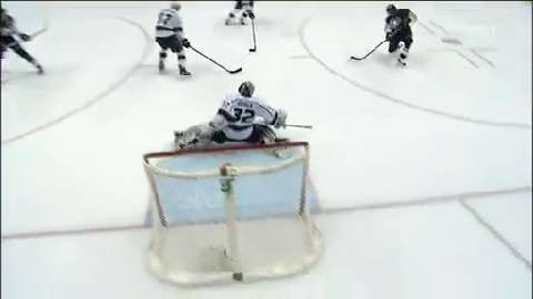 Butterfly Position Hockey