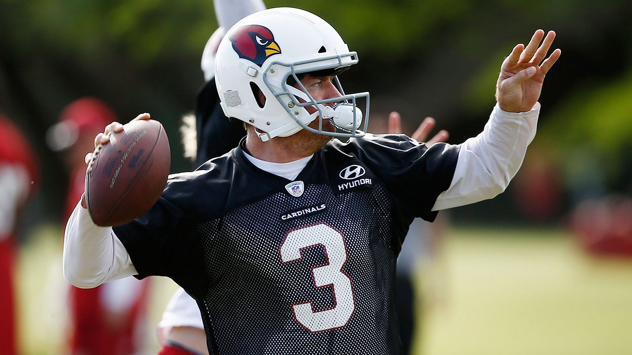 Carson Palmer Knee Injury