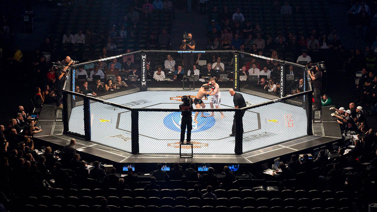 Canadian Featherweight T J Laramie To Fight On UFC 268 Undercard Canadian Featherweight T J Laramie To Fight On UFC 268 Undercard