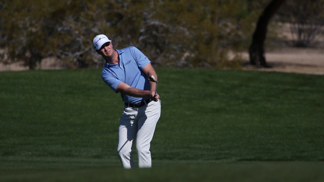 Hornet sting, birdies take Swafford to lead at Punta Cana