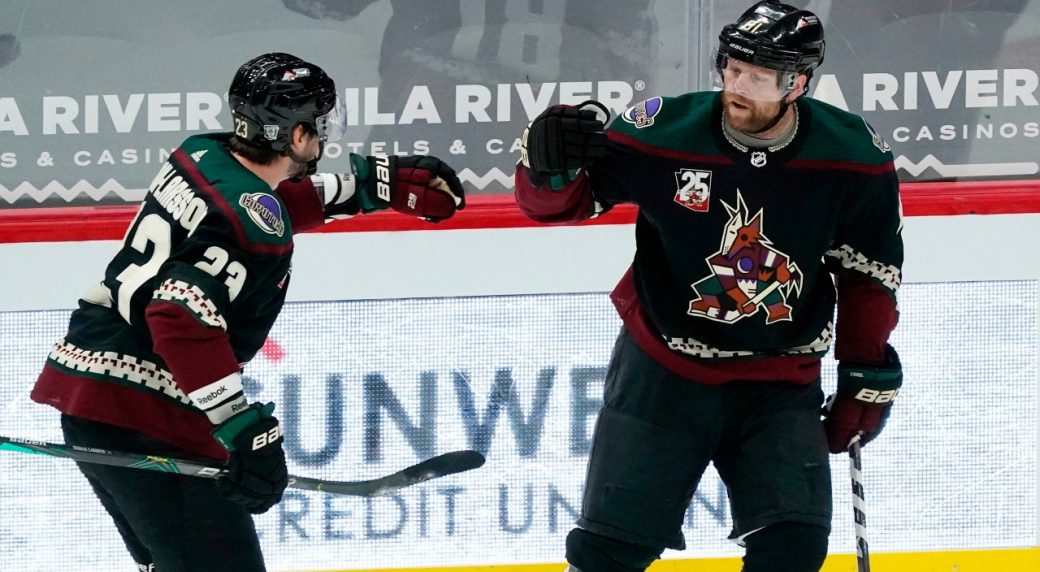 Coyotes bounce back with win over Sharks