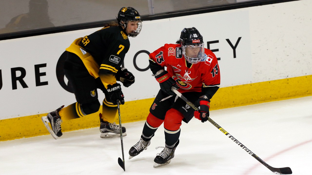 PHF’s Toronto Six sold to group led by Anthony Stewart, Ted Nolan ...
