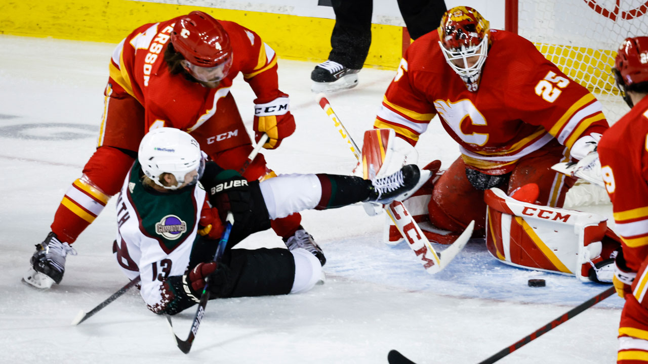 Flames' defence has been club's biggest surprise this season - Sportsnet.ca