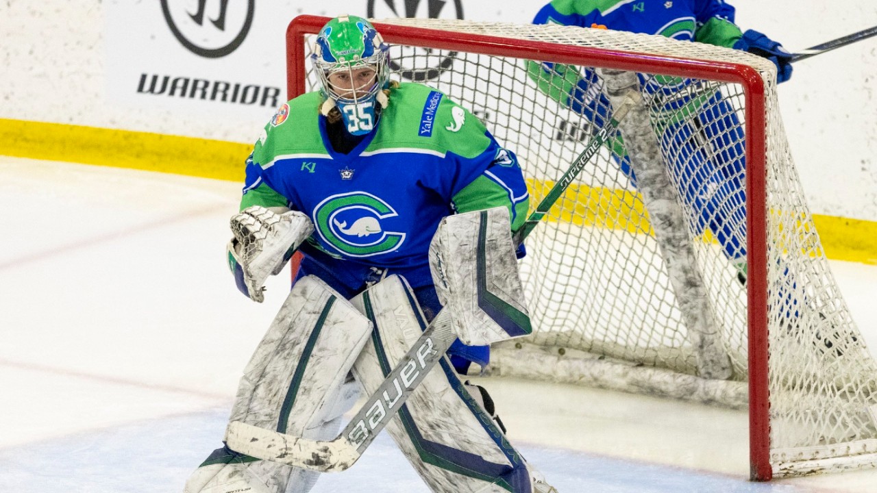 Montreal Force falls to Connecticut Whale in Premier Hockey Federation ...