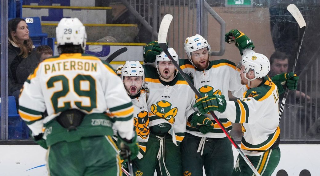 UNB Reds punch ticket to U Sports men's hockey final with win over ...