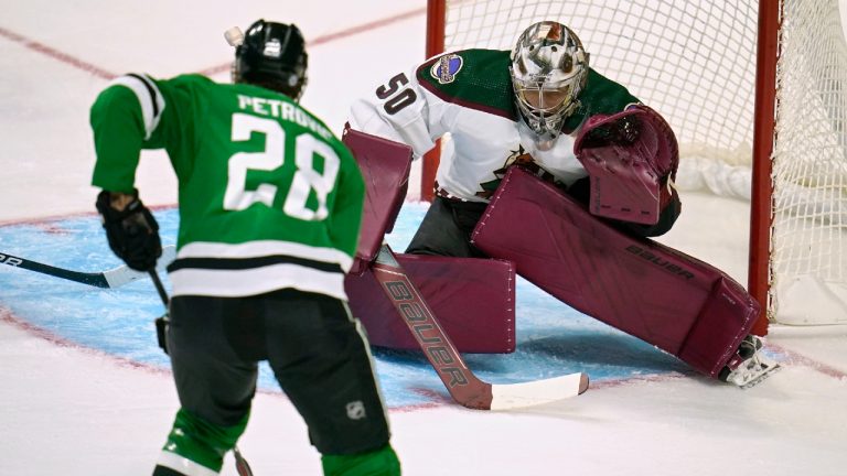 Stars re-sign Alexander Petrovic to one-year, two-way contract ...