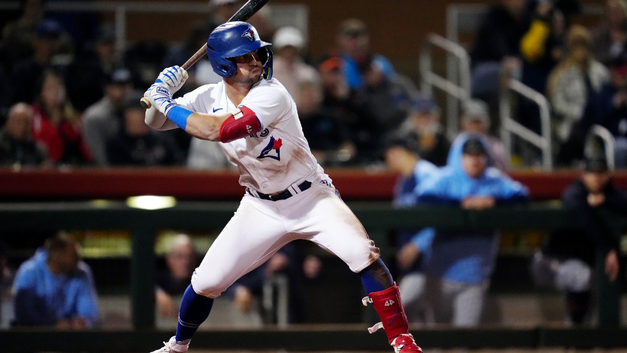 Prospect Palmegiani on Blue Jays radar thanks to ‘Davis Schneider-mould ...