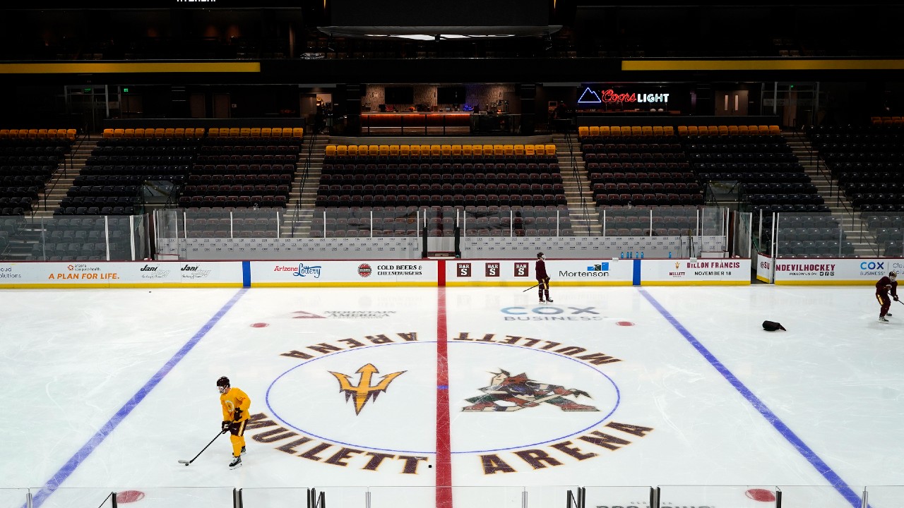 Arizona Land Department to discuss Coyotes' proposed arena site ...