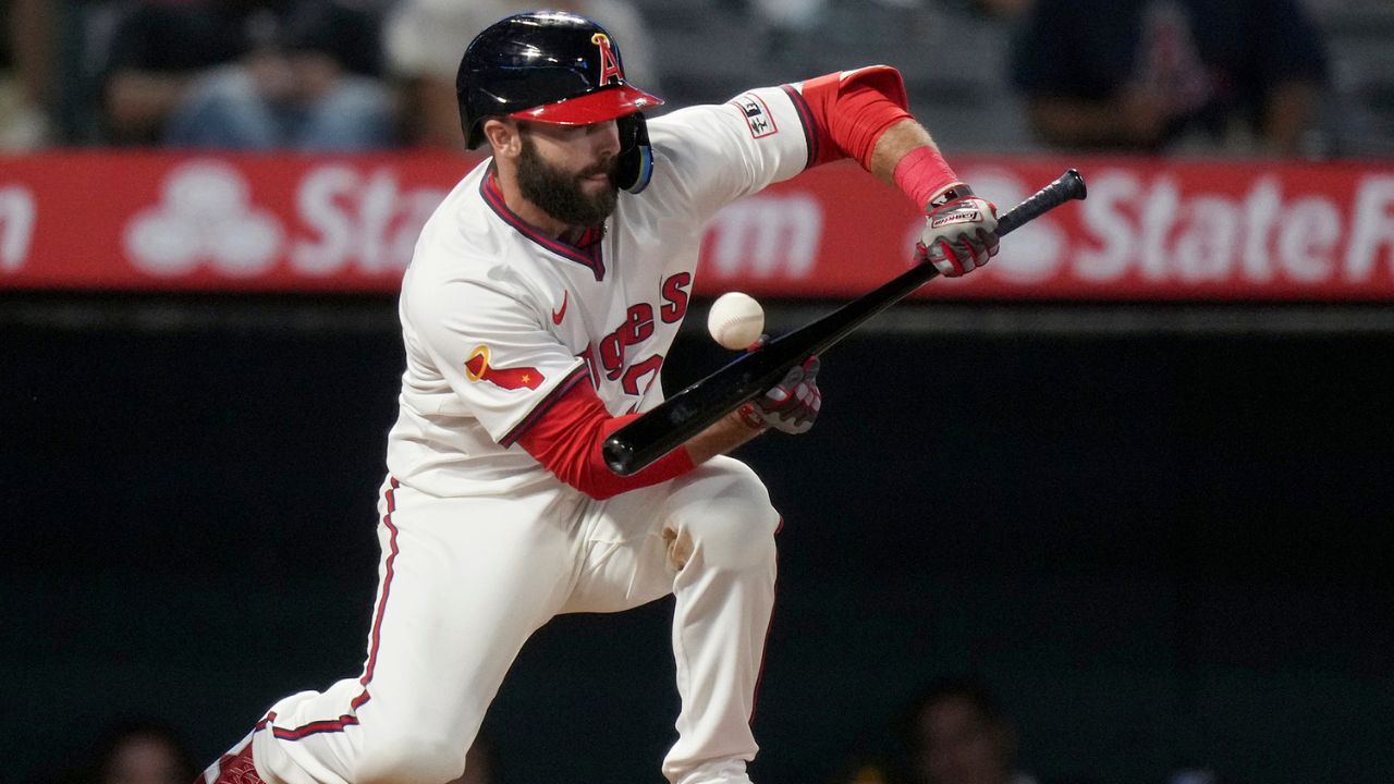 Michael Stefanic had a job in a law office — now he's in Blue Jays camp ...