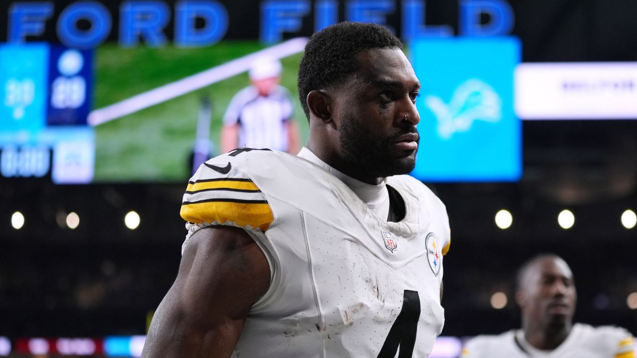 Steelers coach Tomlin says he supports suspended WR Metcalf after fan ...