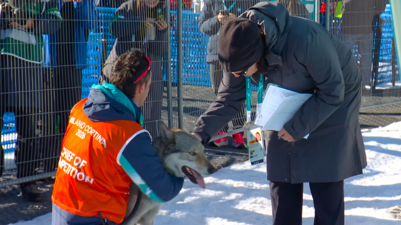 'Totally paw-some': Local dog crashes event at Olympics - Sportsnet.ca