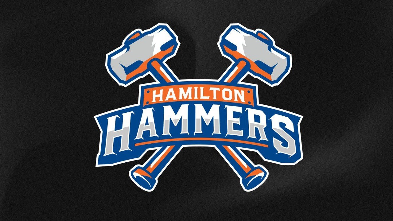 Hamilton Hammers name gives new AHL franchise a Steel City identity ...