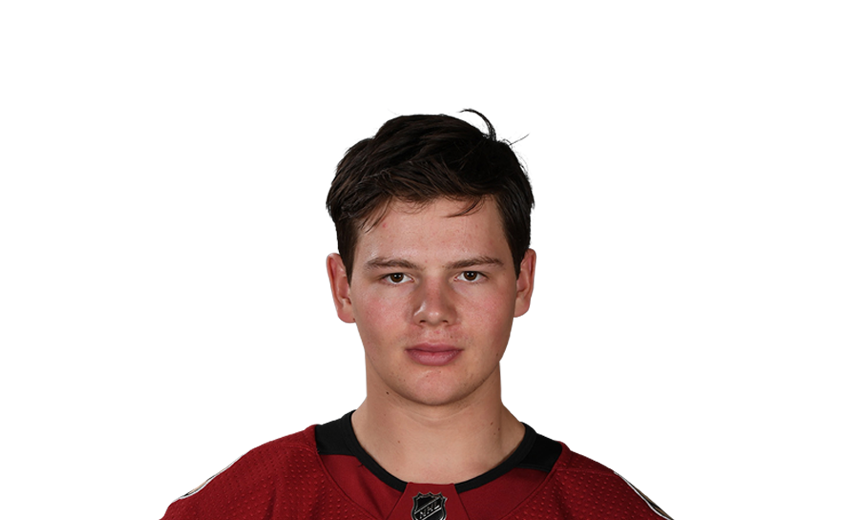 Coyotes sign first-round pick Barrett Hayton to entry-level contract ...